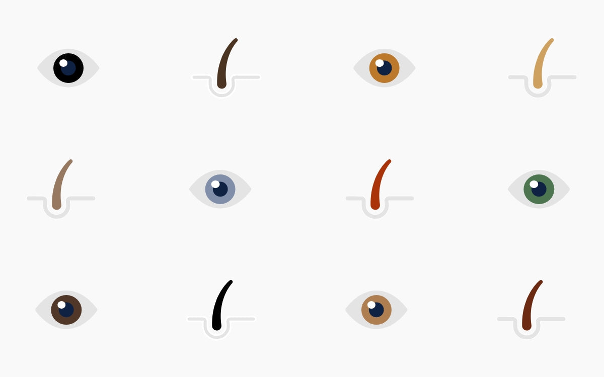 eye colour heritability